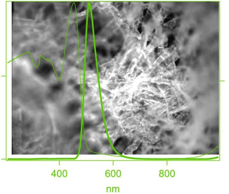 A simple, inexpensive and multi-scale 3-D fluorescent test sample for ...