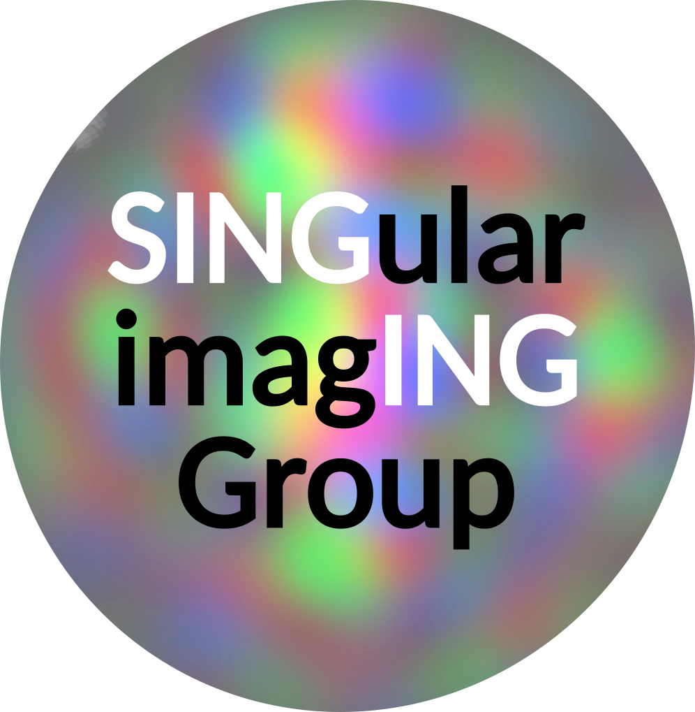 SingIng_logo-4 | SPPIN - CNRS UMR 8003