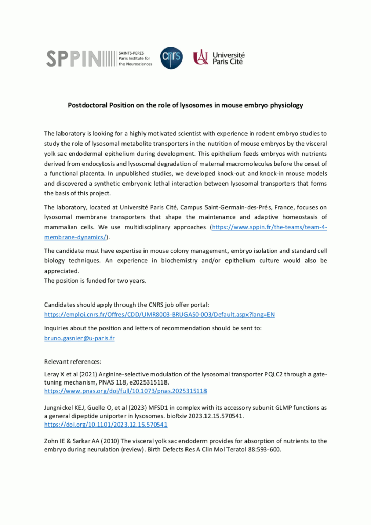 Open postdoctoral Position on the role of lysosomes in mouse embryo ...